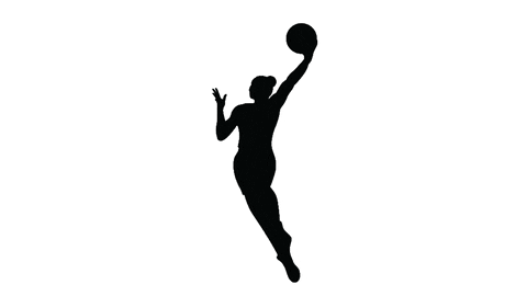 Wnba Logo GIFs - Get the best GIF on GIPHY