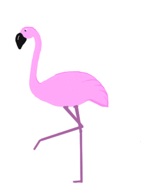 Flamingo Services Sticker for iOS & Android | GIPHY
