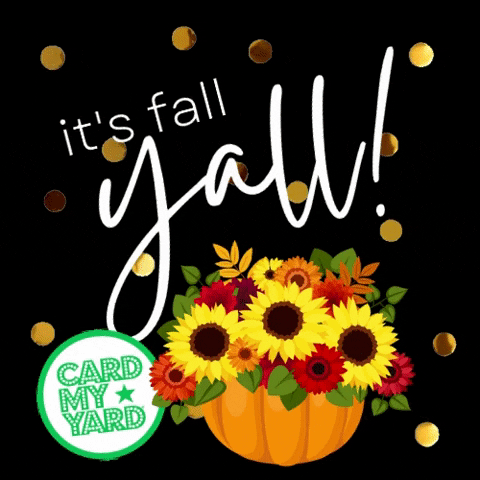 Its Fall Yall GIFs - Get the best GIF on GIPHY