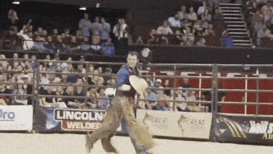 Bull Riding Wallpaper Gif - Infoupdate.org