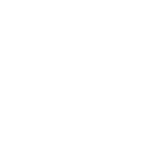 Anytime Fitness Running Man Logo