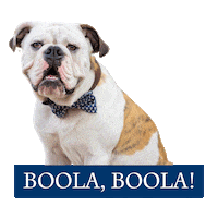 Yale Mascot Boola