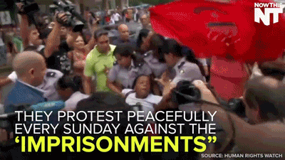 Human Rights Watch GIFs - Get the best GIF on GIPHY