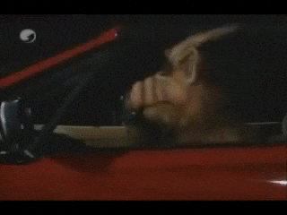 Manejar GIFs - Get the best GIF on GIPHY