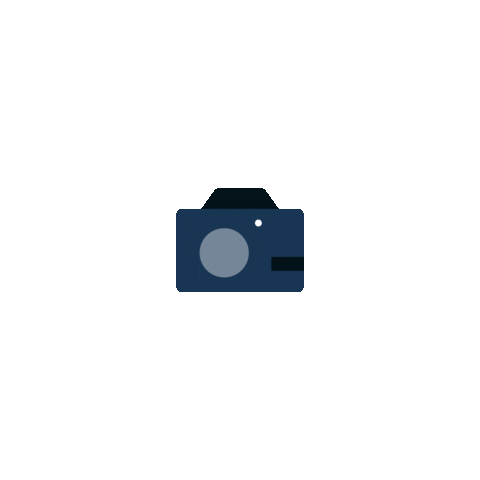 Camera Flash Animation Gif