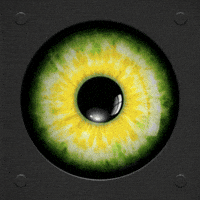 Oog Gif Animatie 🫣 Gesicht Mit Durch Die Finger Linsendem Auge