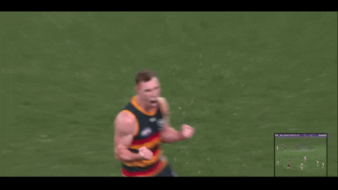 Australian Rules Football GIFs - Get the best GIF on GIPHY