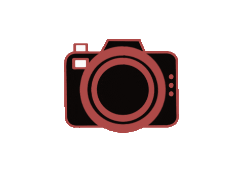 Camera Flash Animated Gif