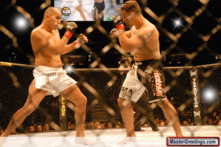 Ufc GIF - Find & Share on GIPHY