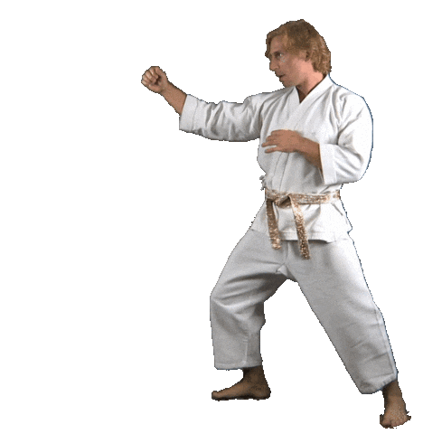 Karate Kid Kick Gif
