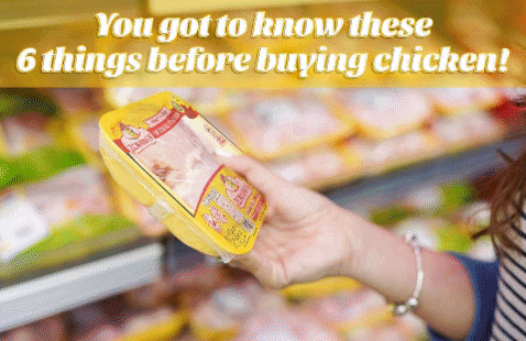 Organic Chicken Feed GIFs - Get the best GIF on GIPHY