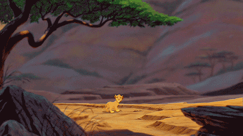 Timon Pumba GIFs - Get the best GIF on GIPHY