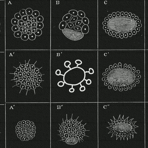 Population Control GIFs - Get the best GIF on GIPHY