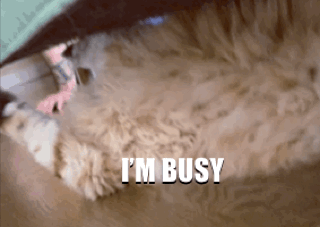 Im Busy Work From Home GIF - Find & Share on GIPHY