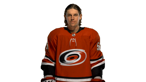 Carolina-hurricanes-stickers GIFs - Get the best GIF on GIPHY
