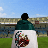 Viva-el-futbol GIFs - Get the best GIF on GIPHY