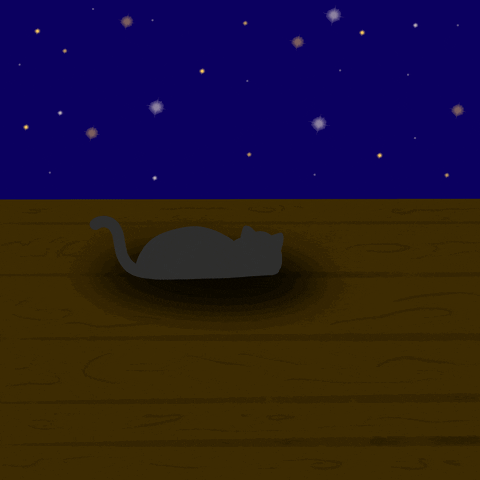 Good Night Sleeping Cat GIF - Find & Share on GIPHY