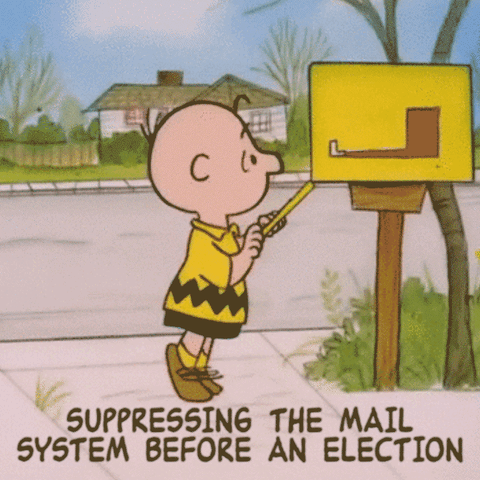 Voting Charlie Brown GIF by INTO ACTION - Find & Share on GIPHY