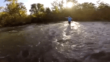 Ohio GIFs - Find & Share on GIPHY