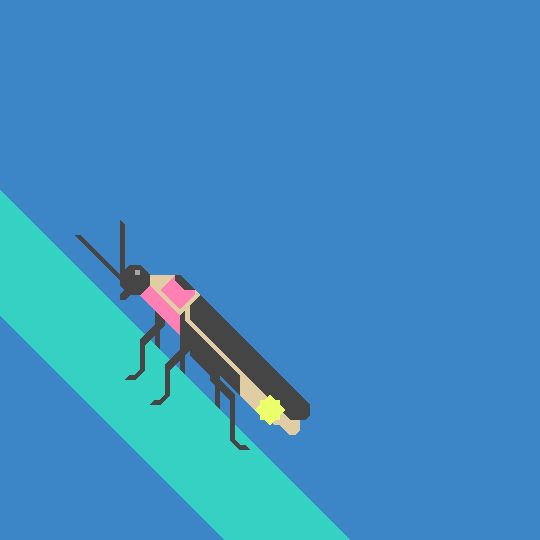 Lightning Bug Firefly GIF by Trevor Anderson - Find & Share on GIPHY