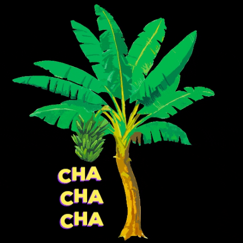 Hemp Leaf GIFs - Get the best GIF on GIPHY