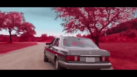 Pink Driving GIF by Lukas Nelson - Find & Share on GIPHY