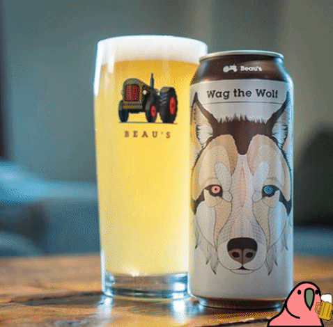 Dark Brown Wolf Gif