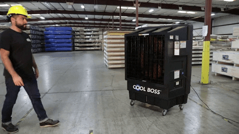 Boss-is-away GIFs - Get the best GIF on GIPHY