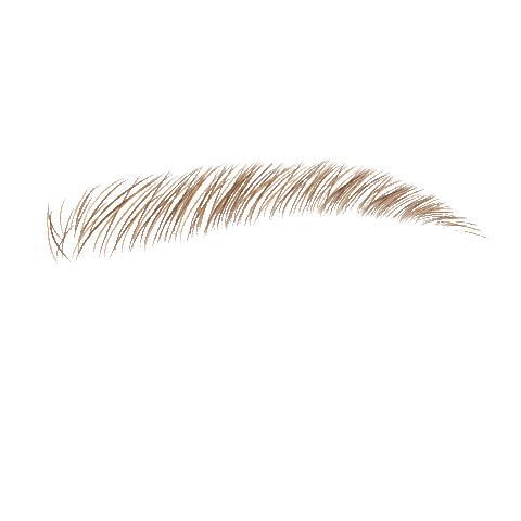 Makeup Eyebrows Sticker by L.A. Girl for iOS & Android | GIPHY