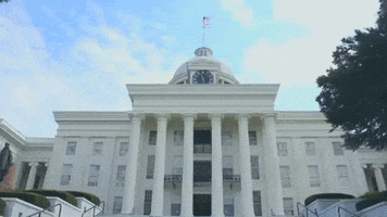 Alabama Meme GIFs - Find & Share on GIPHY