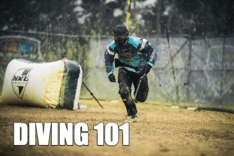 Diving 101 GIFs - Get the best GIF on GIPHY