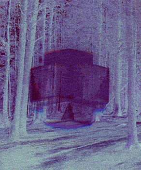 Furrest GIFs - Get the best GIF on GIPHY