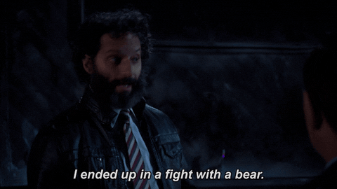 Bear Fight GIFs - Get the best GIF on GIPHY
