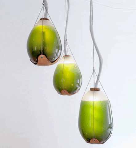 Microalgae GIFs - Find & Share on GIPHY