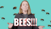 Bees Arrested Development Gif