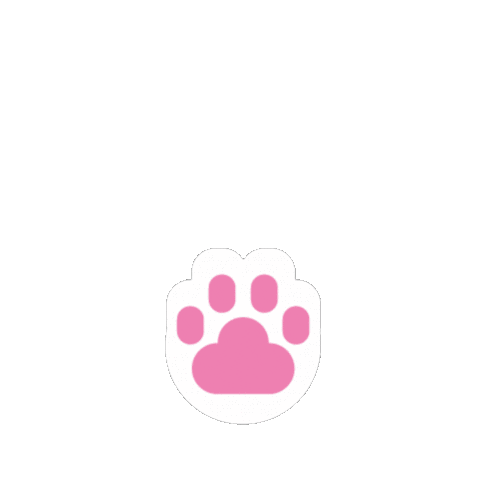 Tumblr Cat Gif Paws