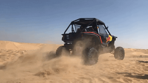 Mv2019Gifamrbr GIF by Red Bull Racing - Find & Share on GIPHY