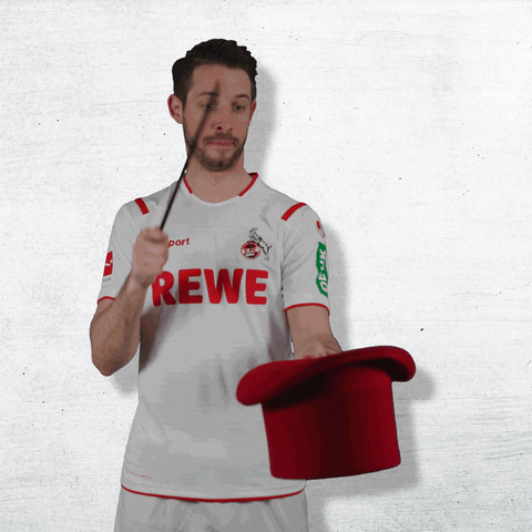 1 Fc Cologne Football GIF by 1. FC Köln - Find & Share on GIPHY