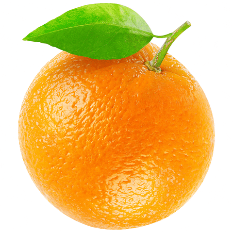 AMMD LLC GIFs on GIPHY - Be Animated