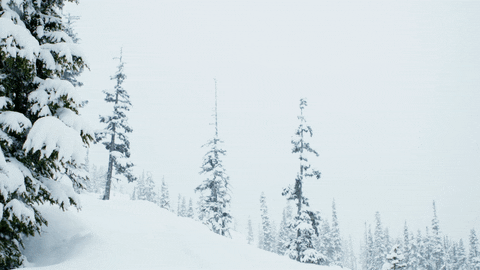Whistler Canada GIFs - Get the best GIF on GIPHY