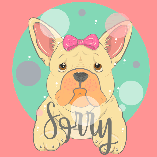 Sorry Dog GIF - Find & Share on GIPHY