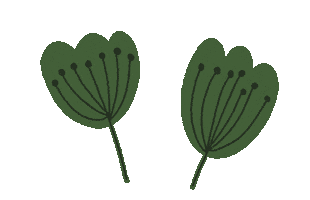 Flower Spring Sticker for iOS & Android | GIPHY