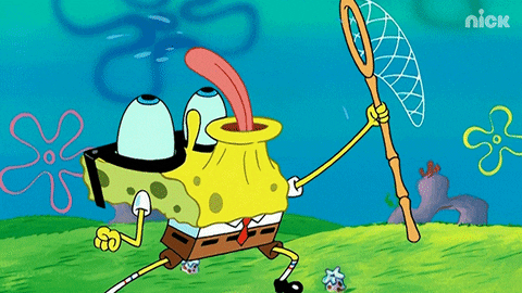 GIF by SpongeBob SquarePants - Find & Share on GIPHY