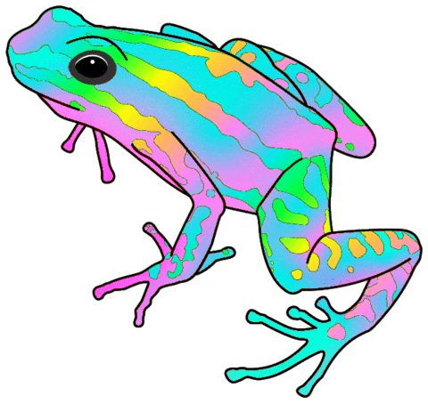 Rainbow Toad Gif