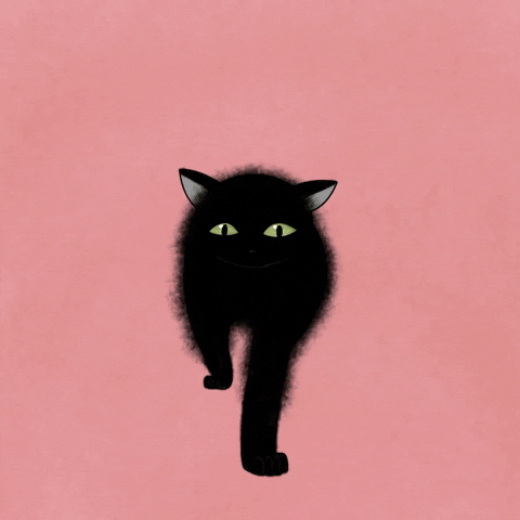 Animated Black Cat Gifs