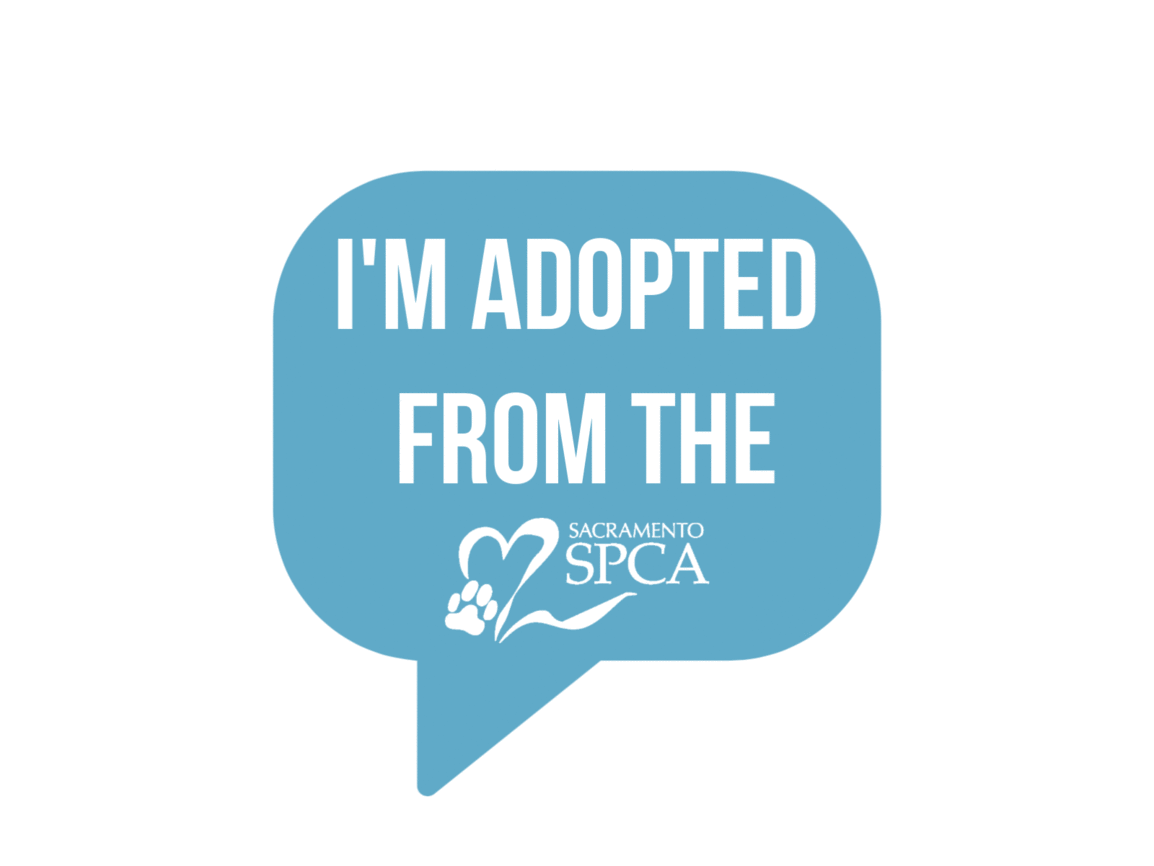 Adopted Sticker by Sacramento SPCA for iOS & Android | GIPHY