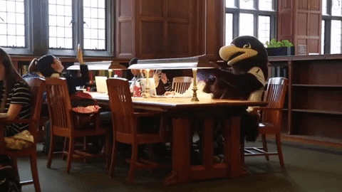 Linderman Library GIFs - Get the best GIF on GIPHY