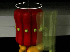 Atp Synthase GIFs - Find & Share on GIPHY