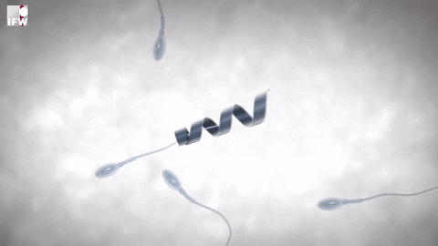 Embryo Transfer Ivf GIFs - Get the best GIF on GIPHY