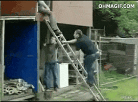 Climbing A Ladder GIFs - Find & Share on GIPHY